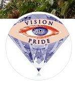 Vision Pride Eye Care Ilasamaja Lagos - finelib.com