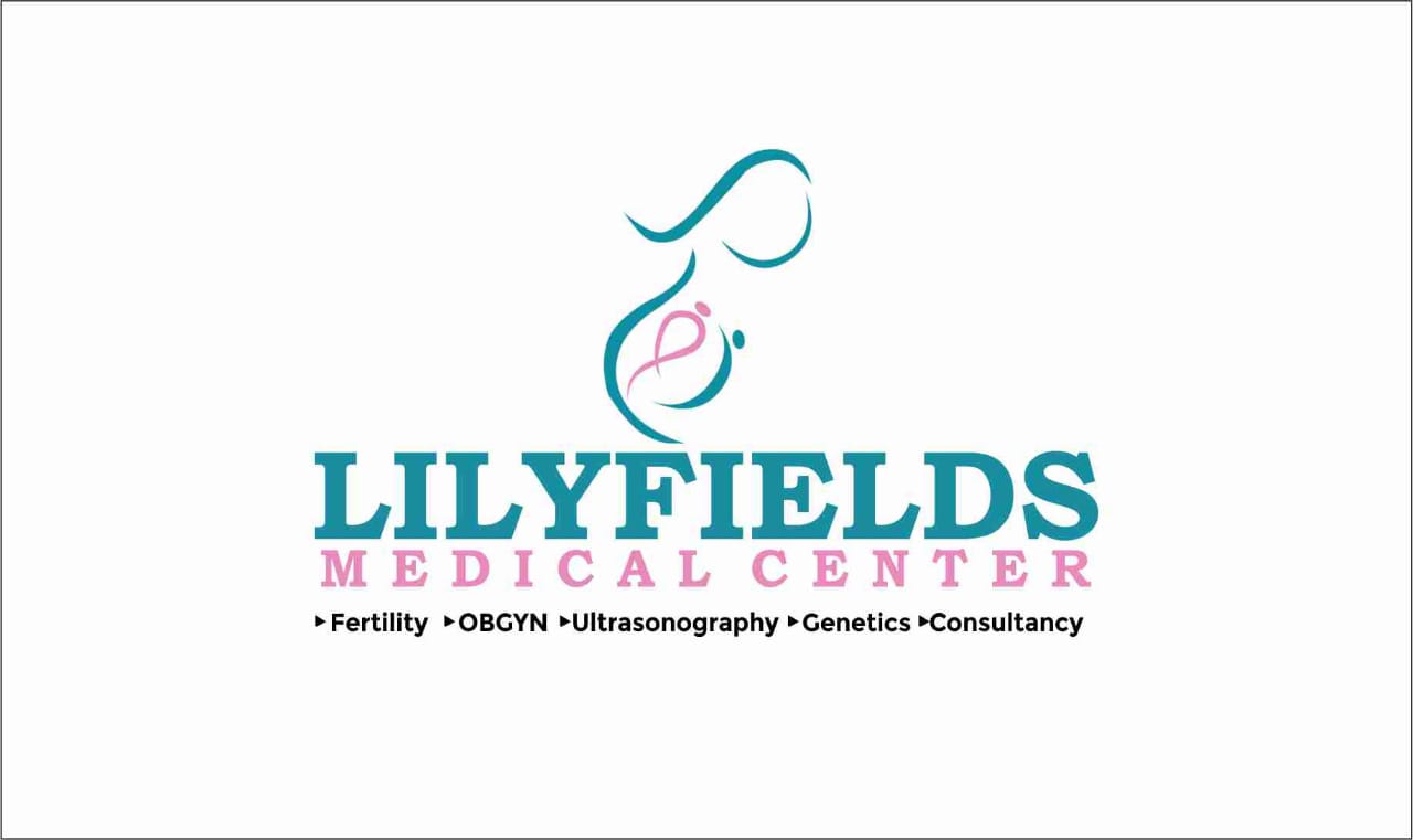 Lilyfields Medical Center Lokogoma Abuja FCT - finelib.com