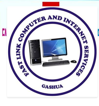 Fast Link Computer and Internet Services Gashua Yobe State - finelib.com