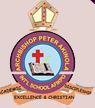 Archbishop Peter Akinola International School Afikpo Ebonyi Nigeria - finelib.com