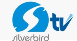 Silverbird Television Central Business District Abuja Nigeria - finelib.com