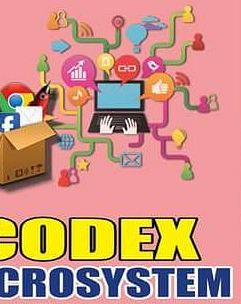 Codex Microsystem Umudioka, Awka Anambra, Nigeria - finelib.com