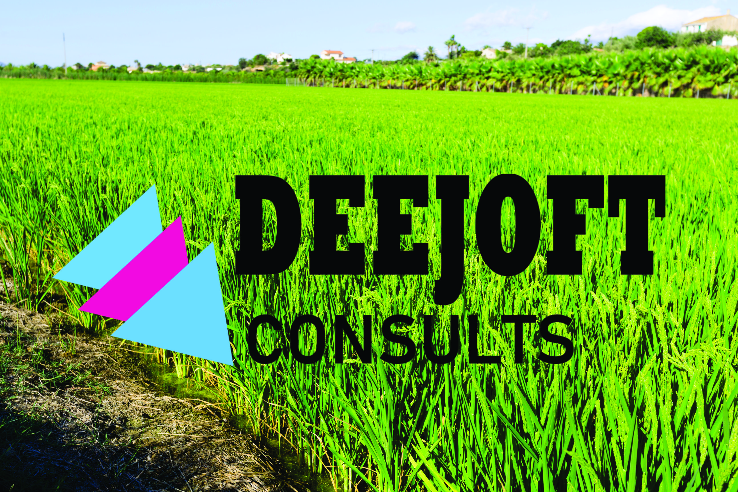 Deejoft Agribusiness Consults Ibadan Oyo State - finelib.com