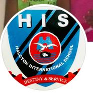Halcyon International School Ilupeju Lagos - finelib.com