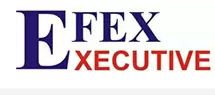 Efex Executive Travel Yaba Lagos, Nigeria - finelib.com