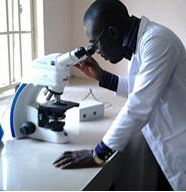 Biodel Diagnostic Laboratory Services Kano Kano Nigeria - finelib.com
