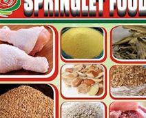 Springlet Food Mart Apo Abuja - finelib.com