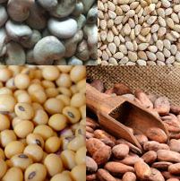 Tripplesea Limited Ikeja Lagos State Nigeria - finelib.com