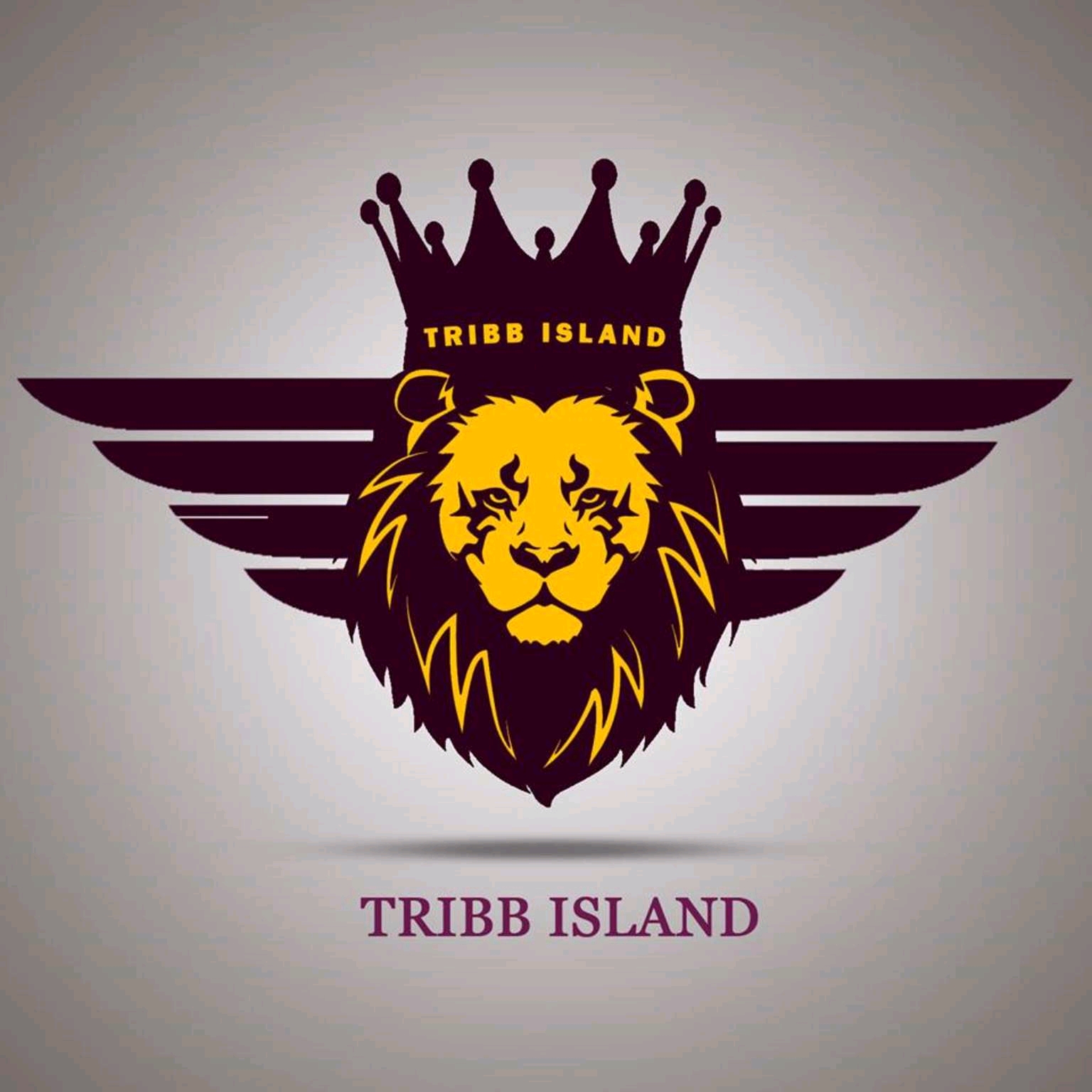 Tribb Island Lugbe Abuja FCT - finelib.com