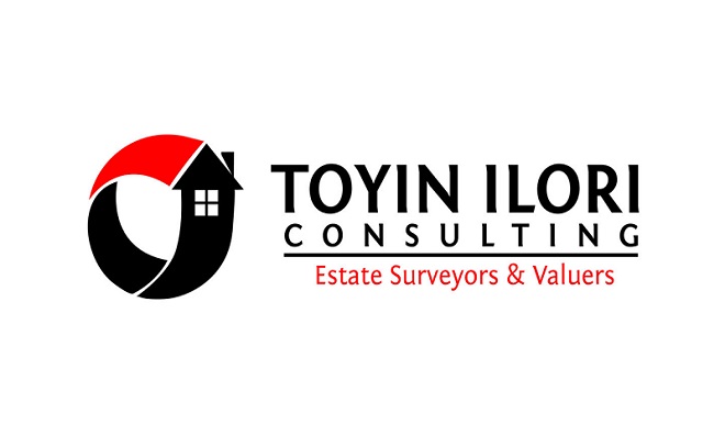 Toyin Ilori Consulting Jabi District Abuja - finelib.com