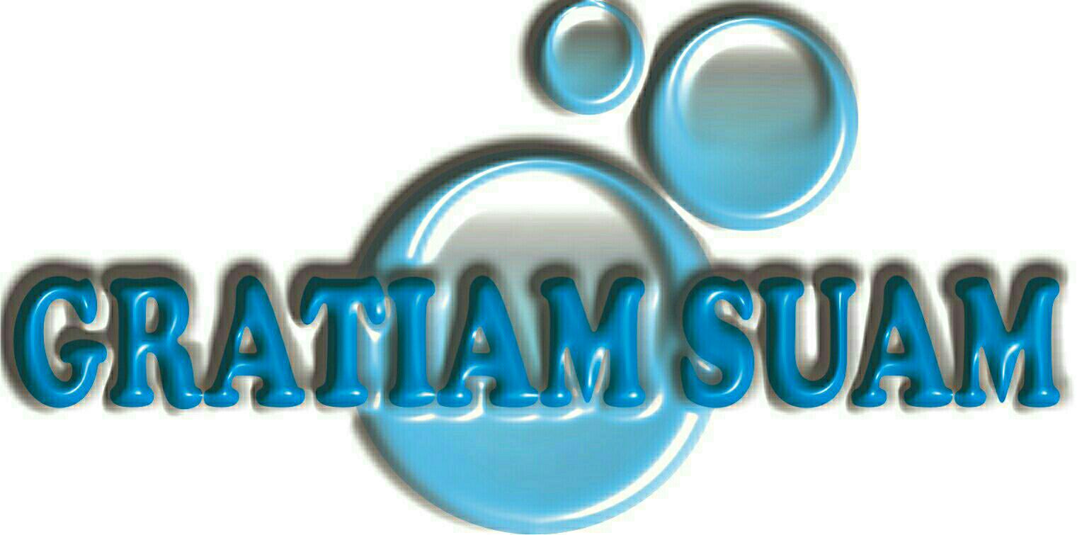 Gratiam Suam Water Resources Ebute Metta Lagos - finelib.com