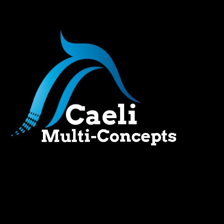 Caeli Multi-Concepts Apo Abuja Federal Capital Territory - finelib.com