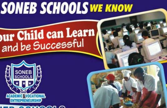 Soneb Schools Ibafo Ogun, Nigeria - finelib.com