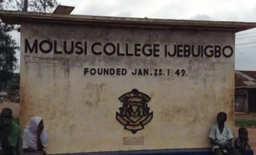 Molusi College Ogun State Nigeria - finelib.com