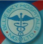 Blue Sky Hospital Alimosho LGA Lagos Nigeria - finelib.com