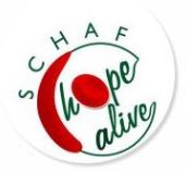 Sickle Cell Hope Alive Foundation Ibadan Oyo State Nigeria - finelib.com