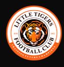 Little Tiger Football Club Lagos Nigeria - finelib.com