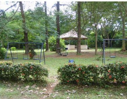 UI Botanical Garden lbadan Oyo Nigeria - finelib.com