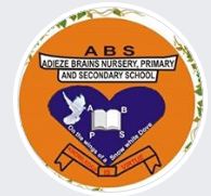 Adieze Brains International School Kaduna Nigeria - finelib.com