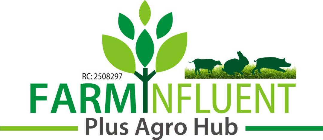 Farm Influent Plus Agro Hub Agbowa Lagos - finelib.com