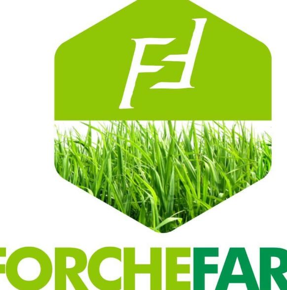 Forche Farms Warri Delta State Nigeria - finelib.com