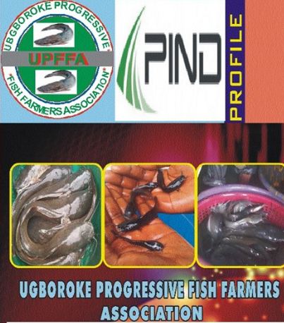 UPFFA Ugboroke Warri Delta State Nigeria - finelib.com