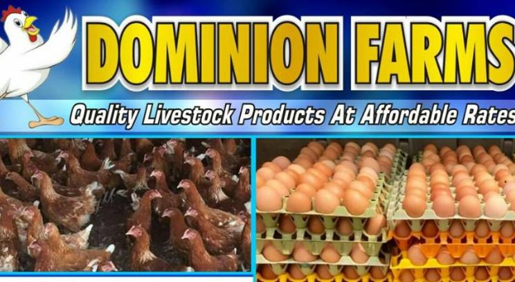 Dominion Farm Atamakolomi Warri Delta Nigeria - finelib.com