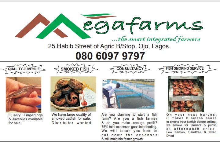 Mega Farms Ojo Lagos - finelib.com