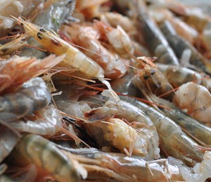 Banarly Seafood Otto, Ebute-Metta Lagos Nigeria - finelib.com