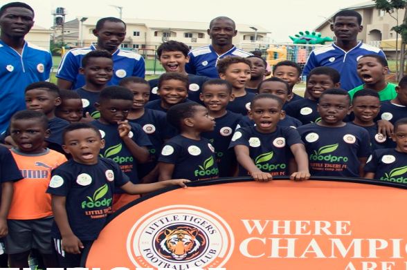 Little Tigers FC Lekki Phase 1 Lagos, Nigeria - finelib.com