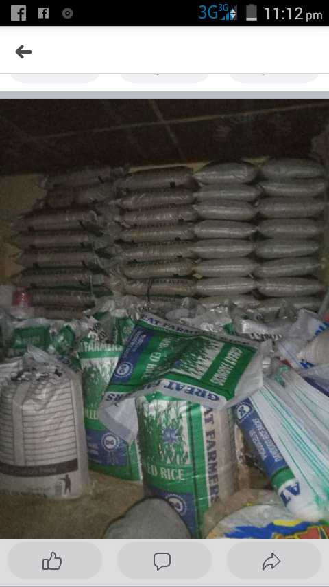 Great Farmers Gboko Benue State - finelib.com