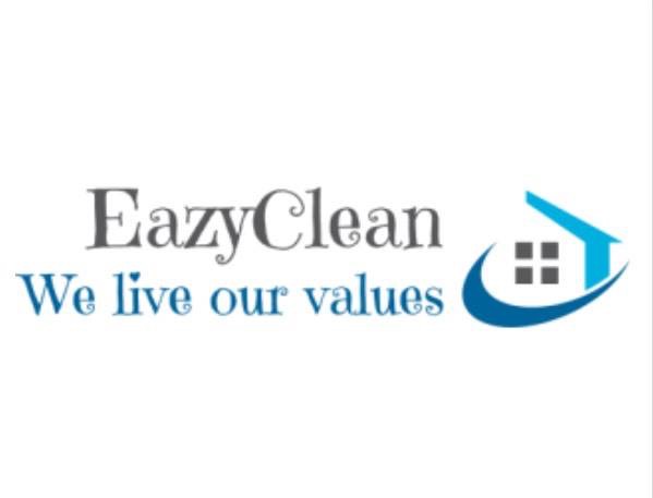 Eazyclean Services Festac Town Lagos - finelib.com