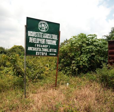 Ogun State Agricultural Development Programme Kotopo, Abeokuta Ogun ...