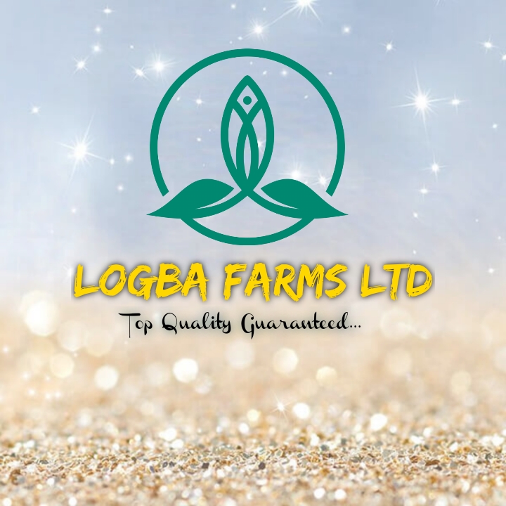 Logba Integrated Venture Ifo Ogun State - finelib.com